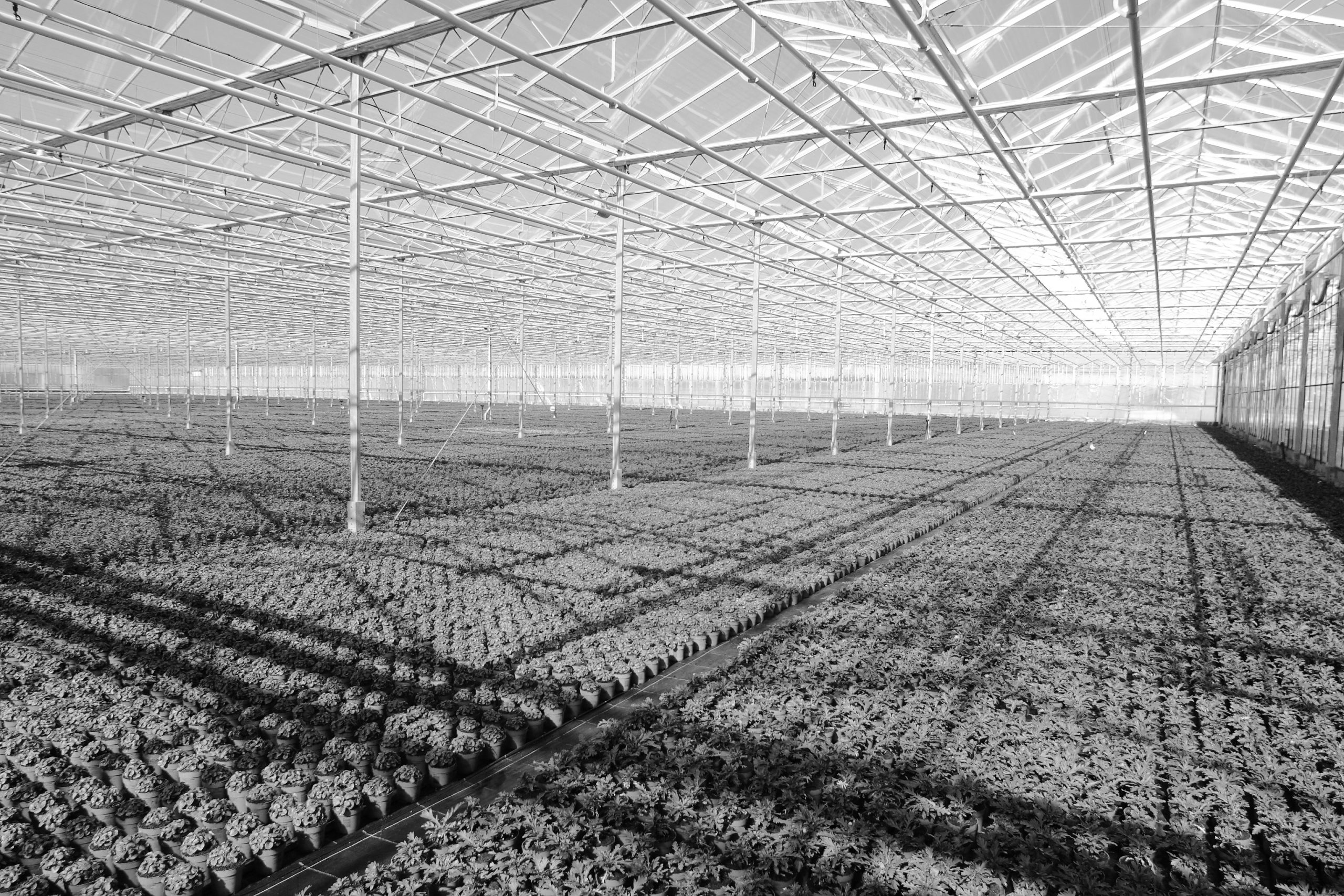 Nonresidential Controlled Environment Horticulture | Title 24 Stakeholders